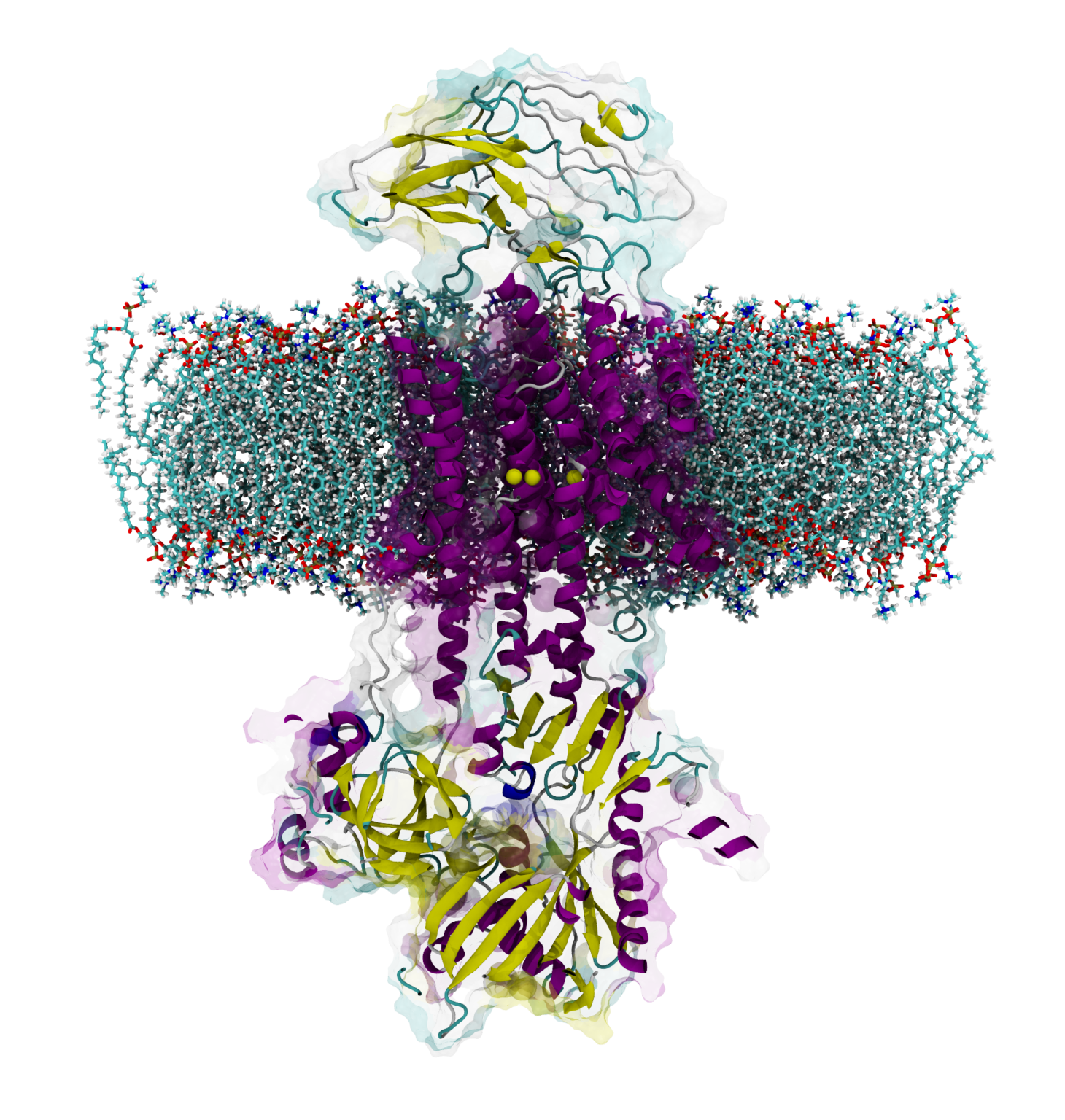Ion Pumps – Himanshu Khandelia Group